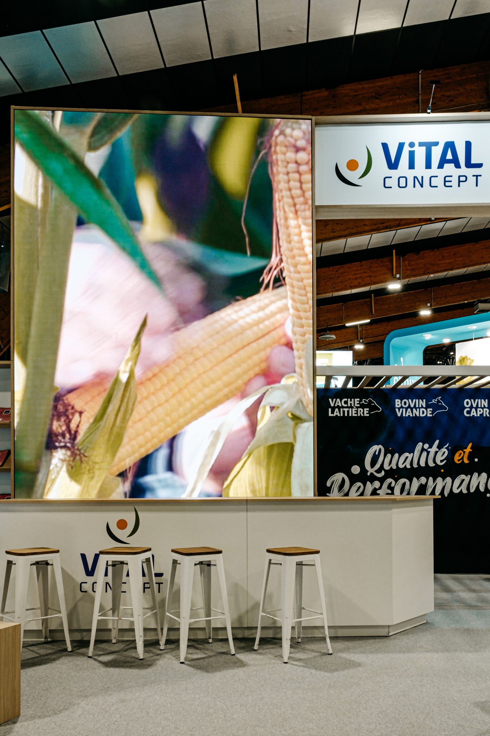 VITAL CONCEPT SPACE 2022 – MTW FACTORY